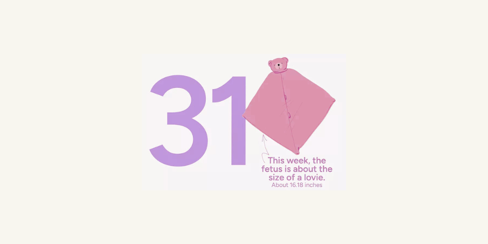 Pregnancy Week by Week: Week 31 – Baby Central HK