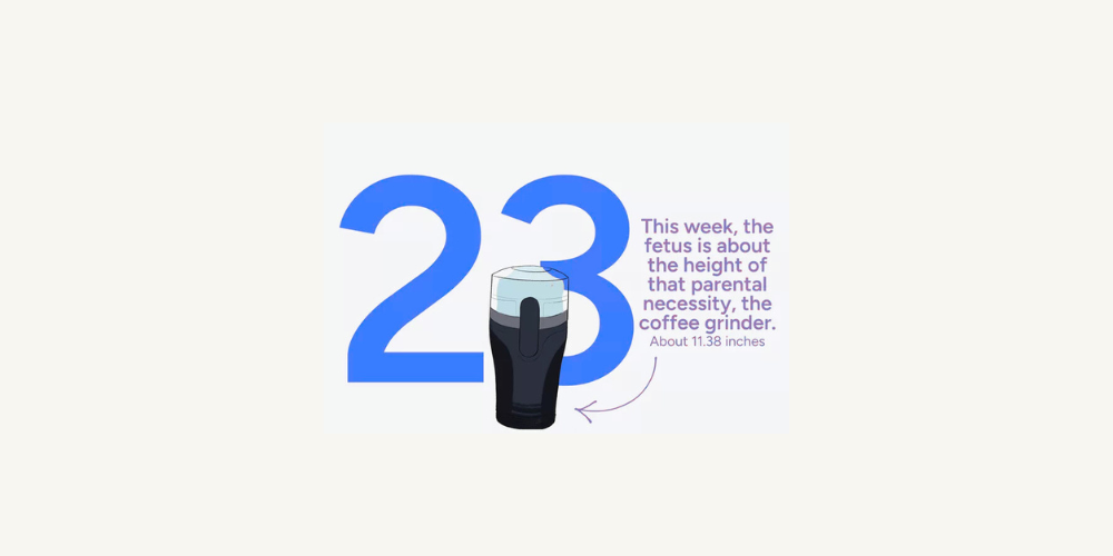 Pregnancy Week by Week: Week 23 – Baby Central HK